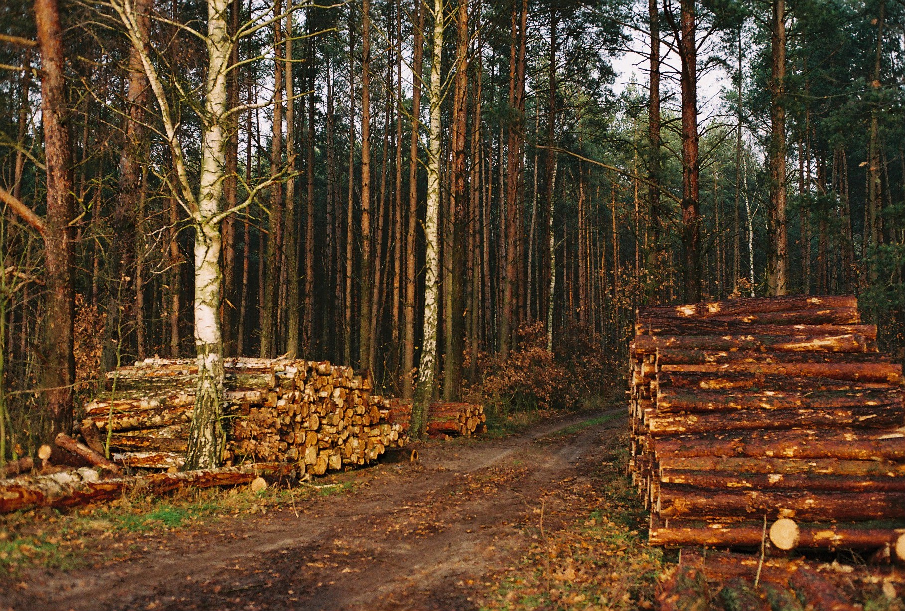 116123 – Fresa atómica